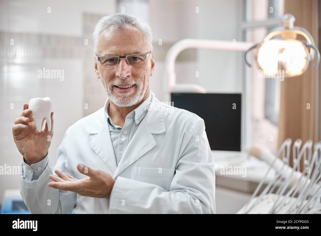 Determined dental specialist demonstrating a tooth model Stock Photo ...