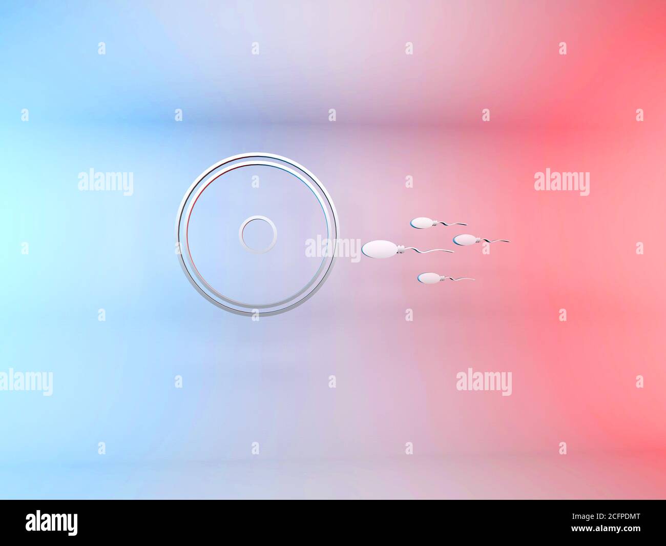 Illustration of an ovum fertilization by sperm 3D - perfect for ...