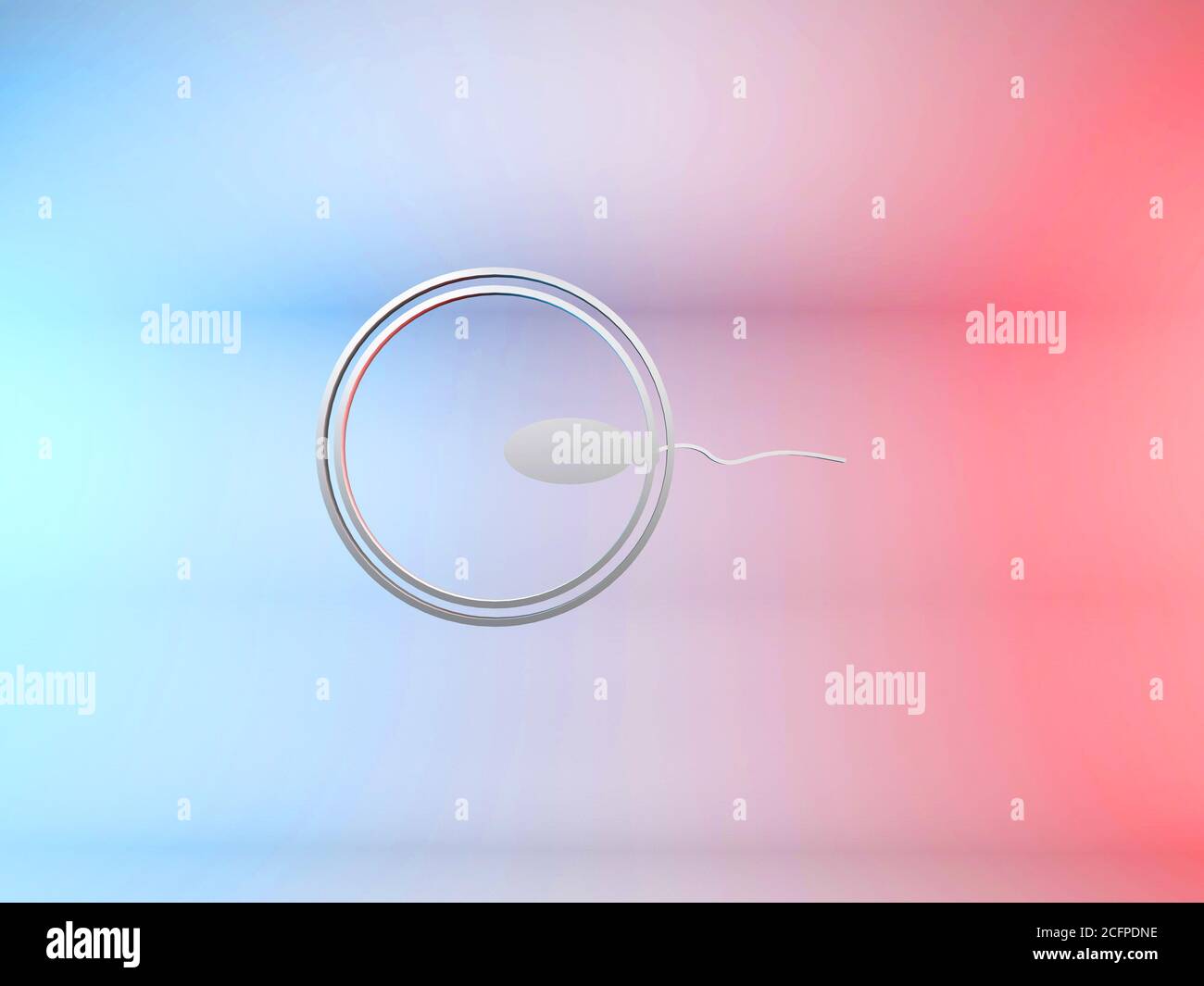 Illustration of an ovum fertilization by sperm 3D - perfect for ...