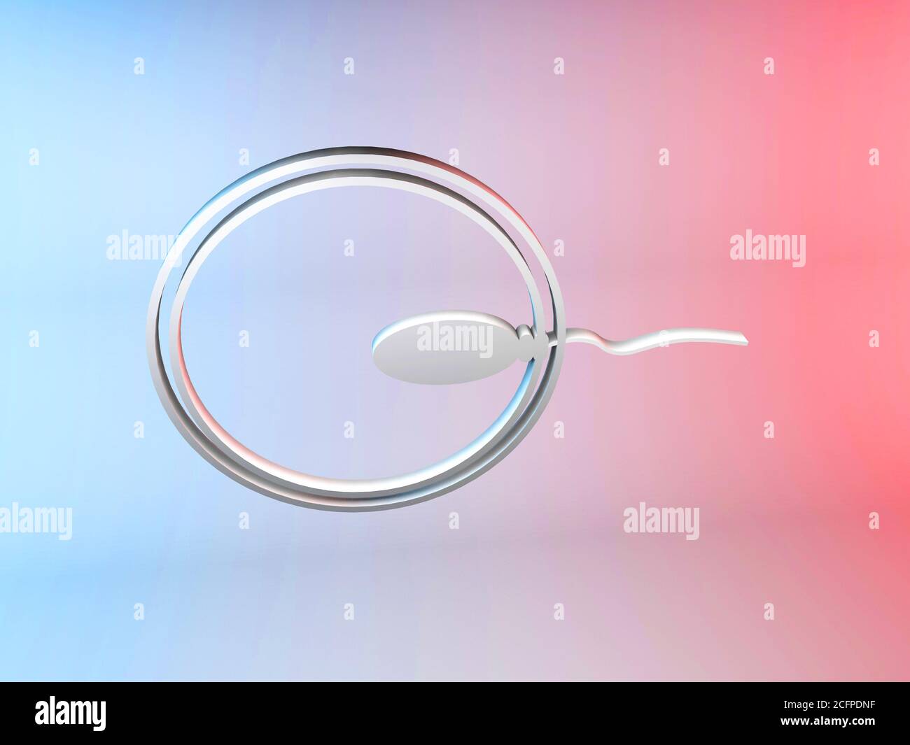 Illustration of an ovum fertilization by sperm 3D - perfect for ...