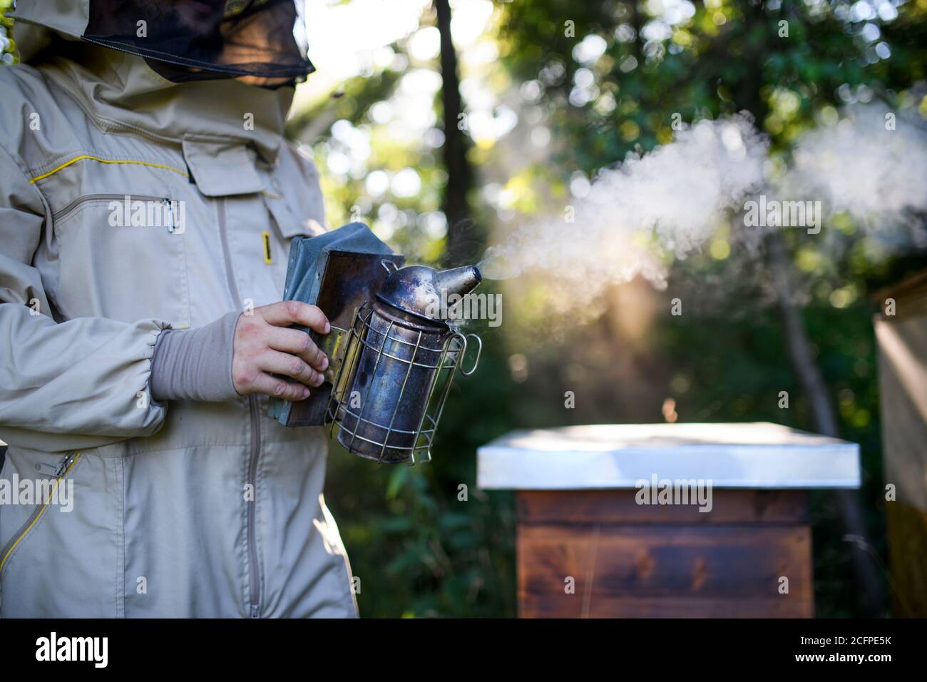 Unrecognizable man beekeeper working in apiary, using bee smoker Stock ...