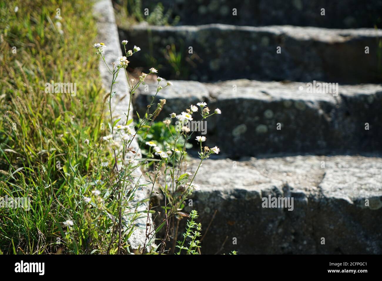 Closeup shot cement stairs hi-res stock photography and images - Alamy