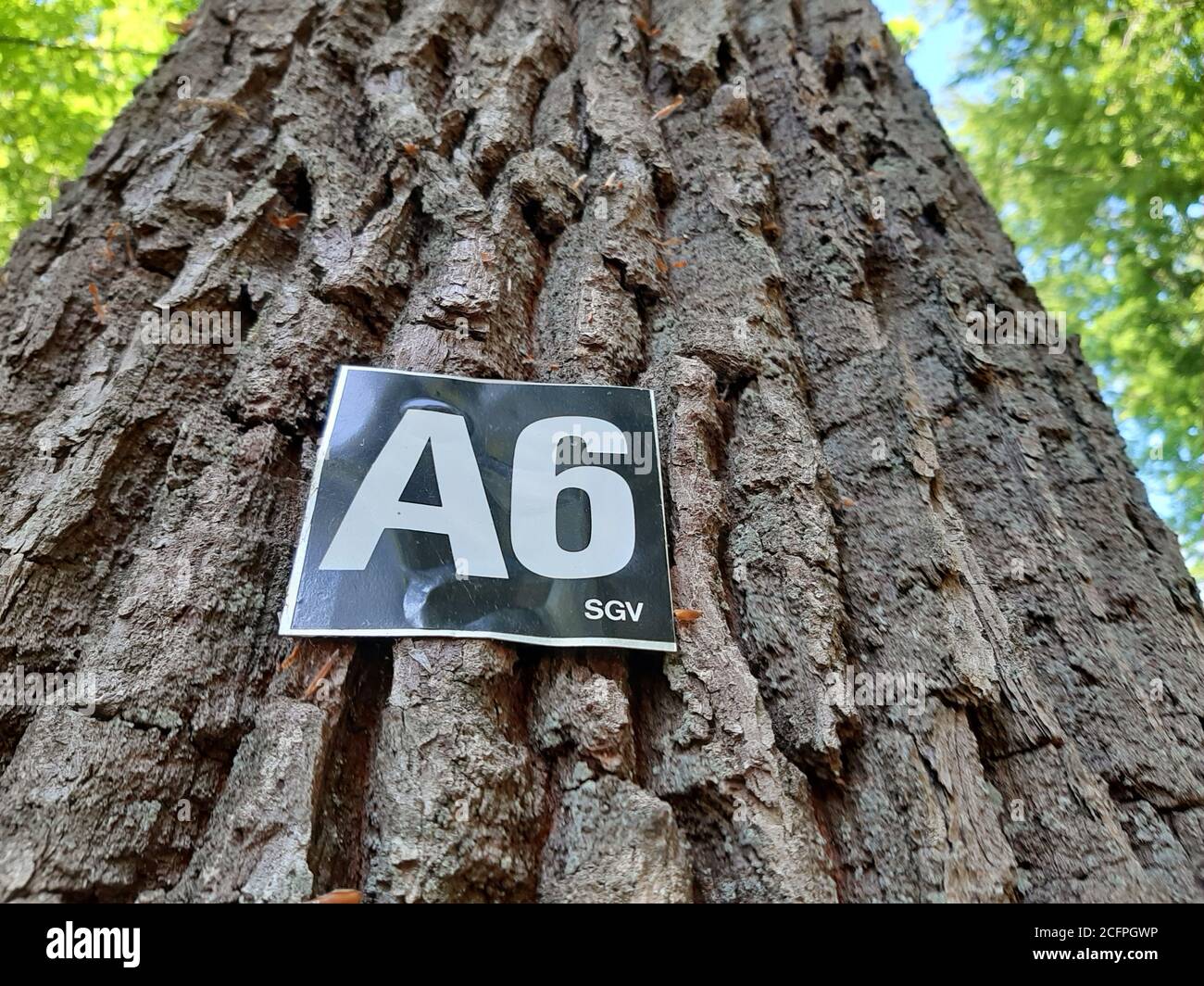 Bark letter hi-res stock photography and images - Alamy