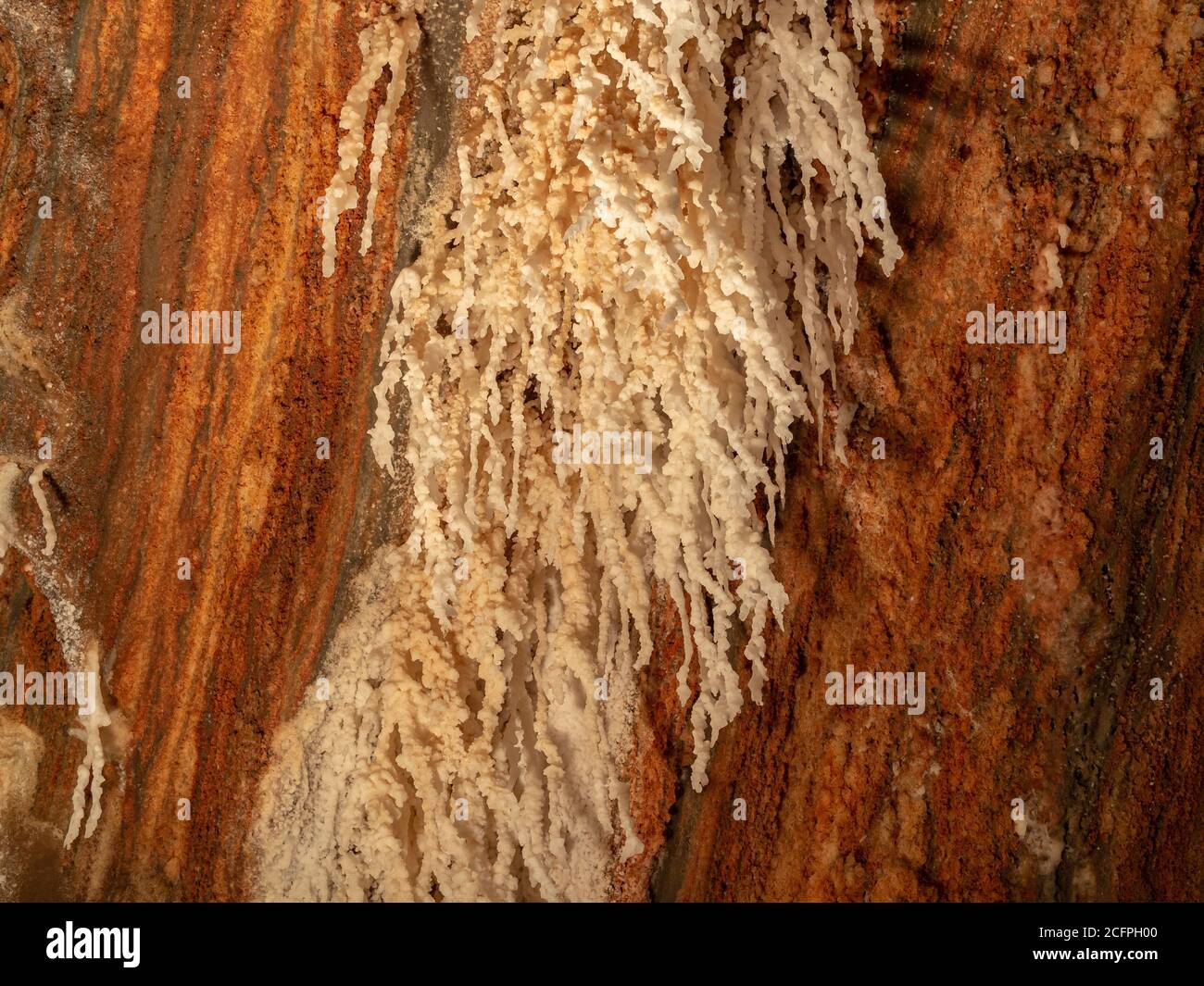Salt stalactites at the salt mountain cavern, Cardona, Spain. Close up ...