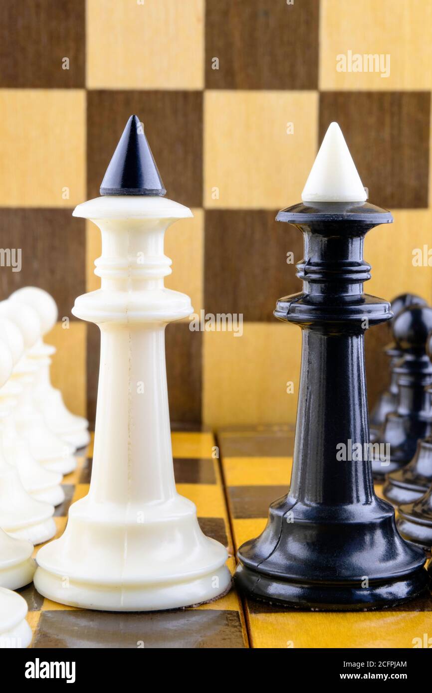 chess pieces stand opposite each other, kings in the center vertical ...