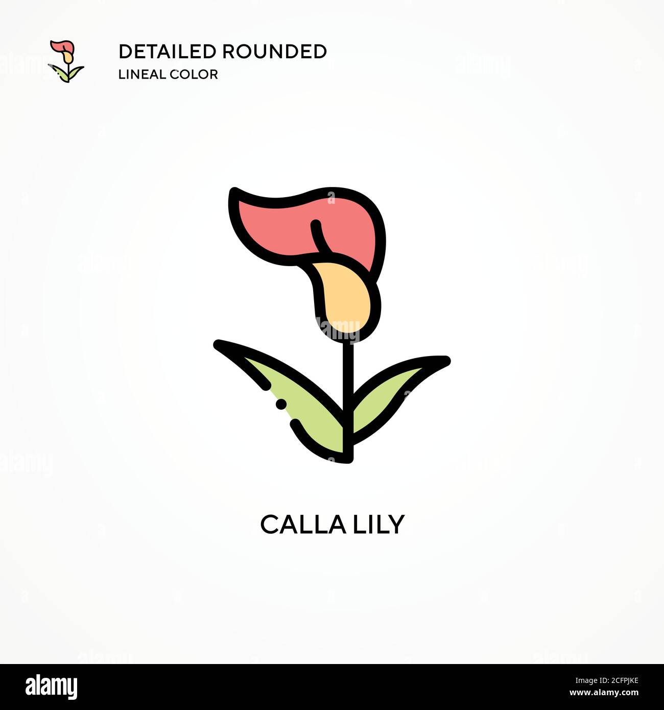 Calla lily vector icon. Modern vector illustration concepts. Easy to ...