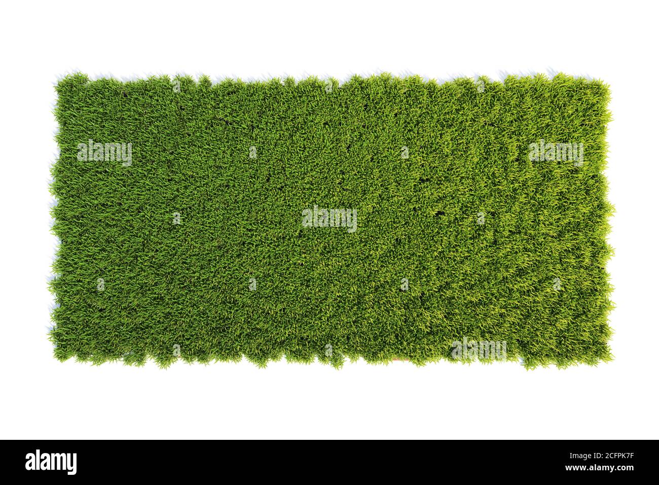 Small square surface covered with grass, grass podium top view, lawn ...