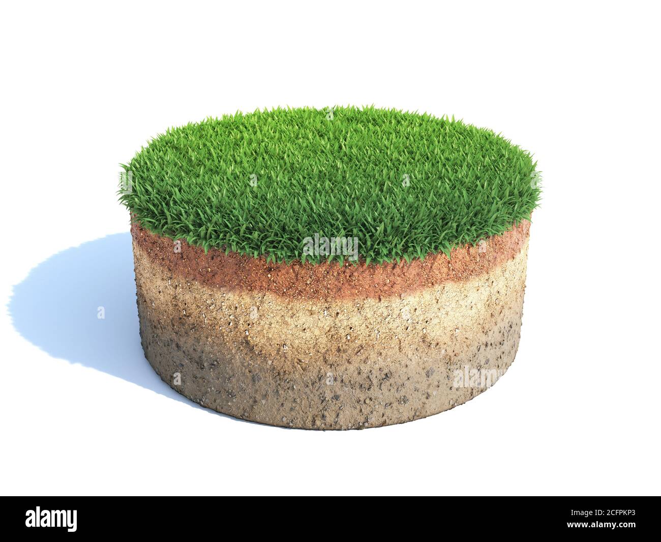 Cylindrical cross section of ground with grass, ecology, geology ...