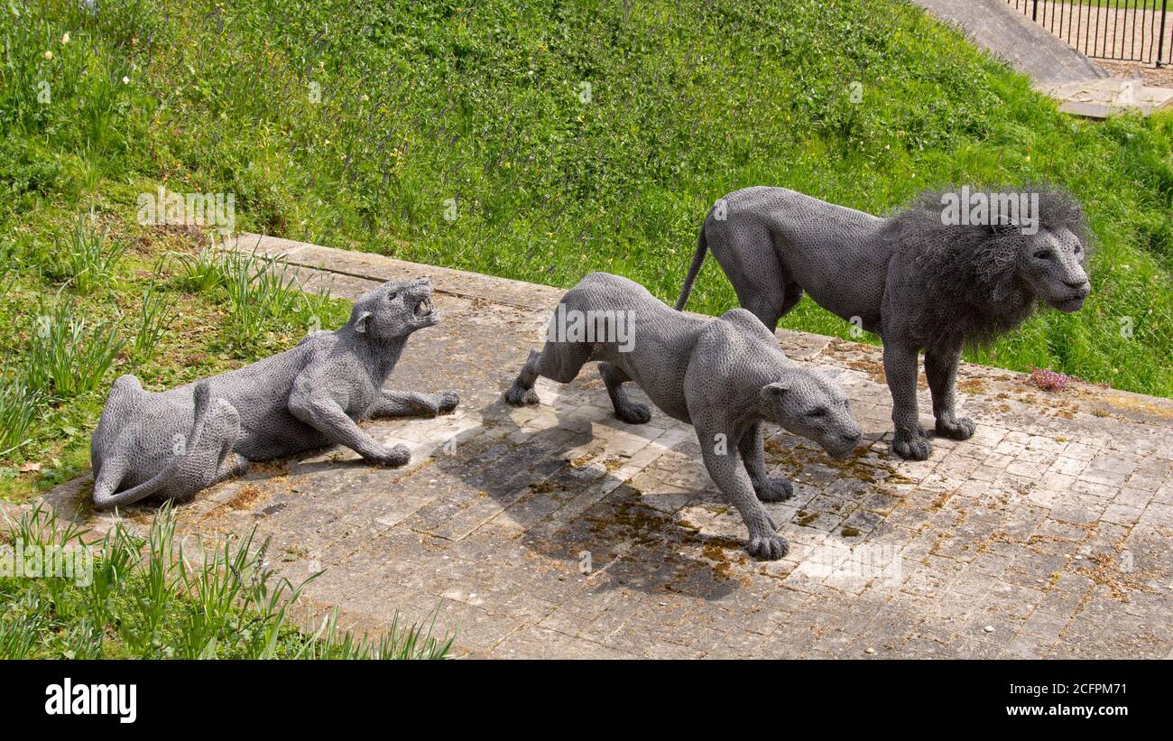 Animal sculptures at The Royal Menagerie in the tower of London Stock ...