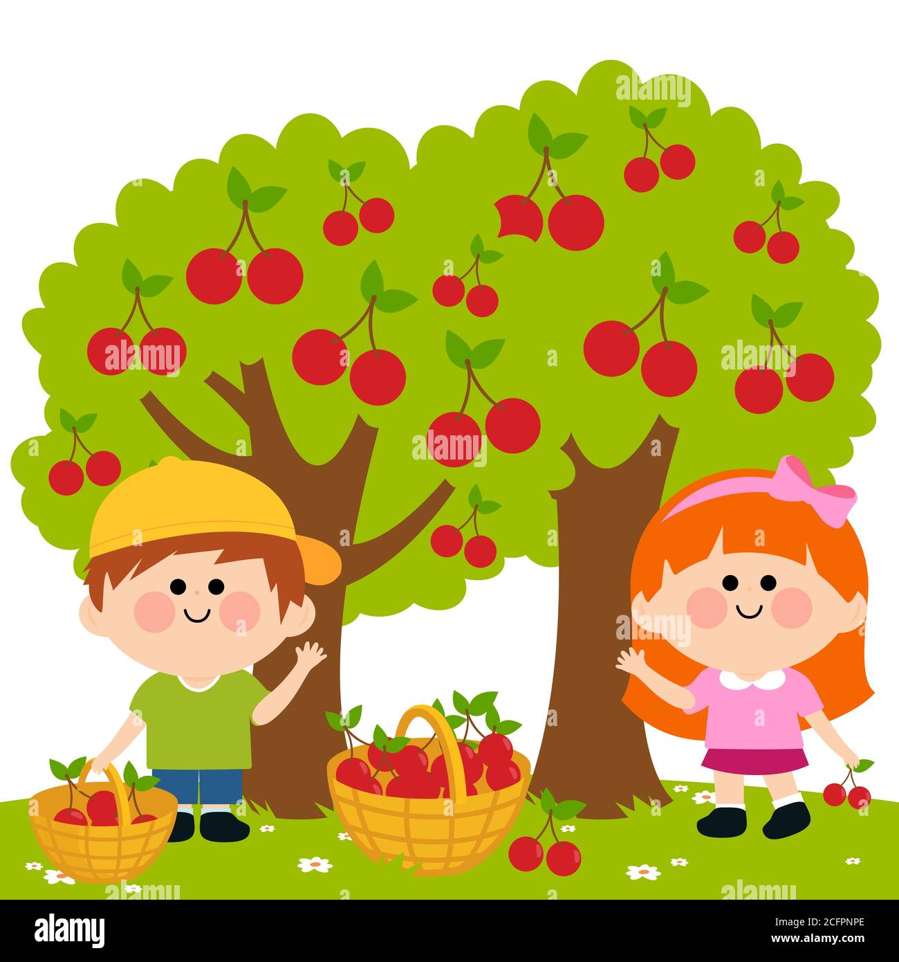 Cherries illustration hi-res stock photography and images - Alamy