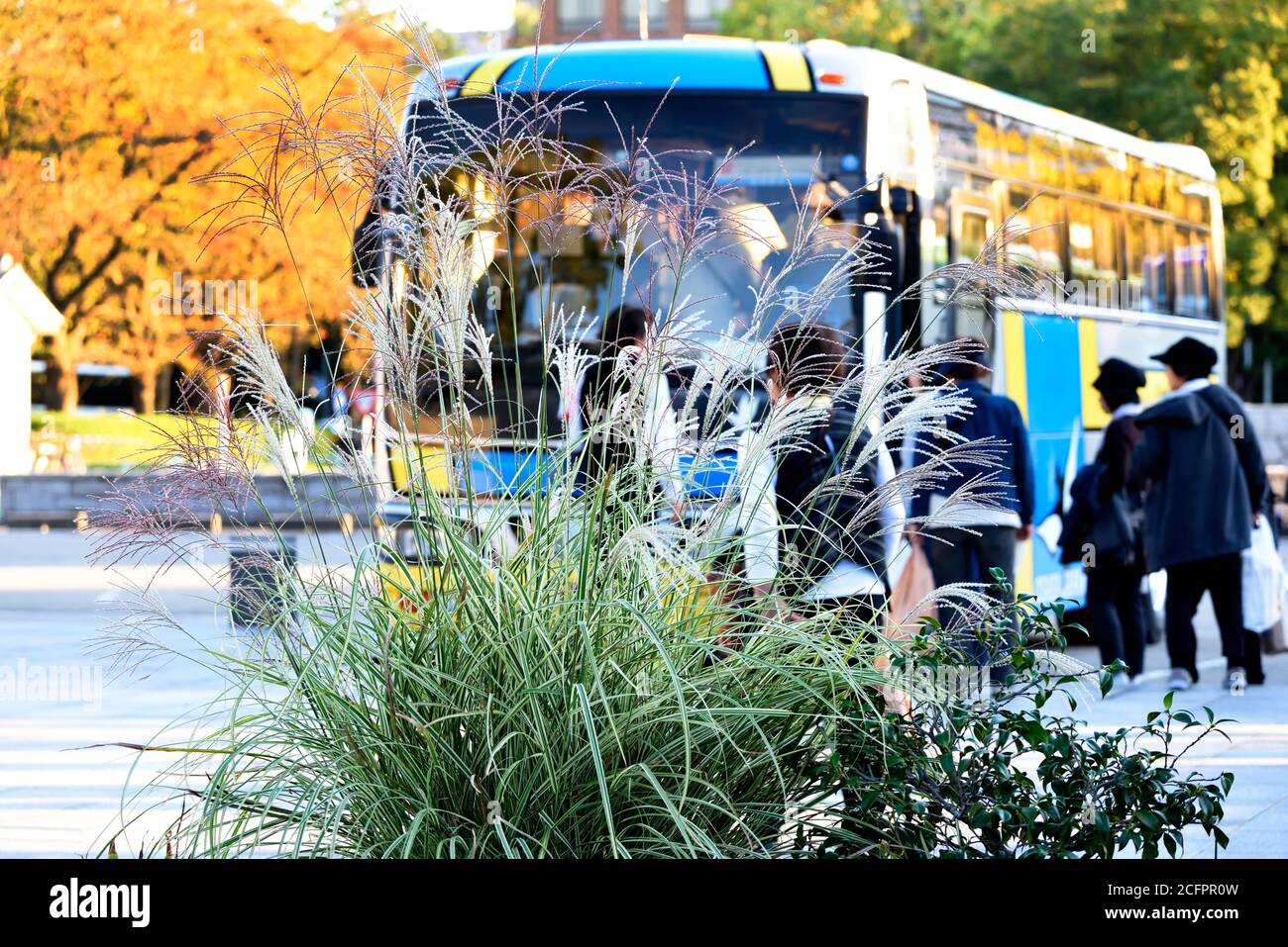 Coach tours hi-res stock photography and images - Alamy