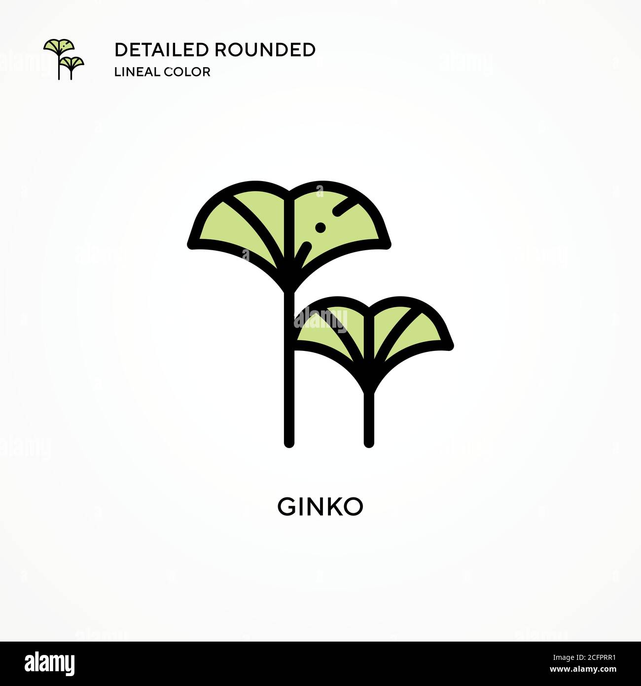 Gingko branch Stock Vector Images - Alamy