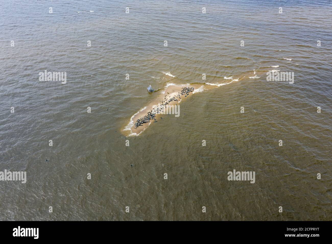 Aerial view of the Seal Island near Vistula mouth to the Baltic sea ...