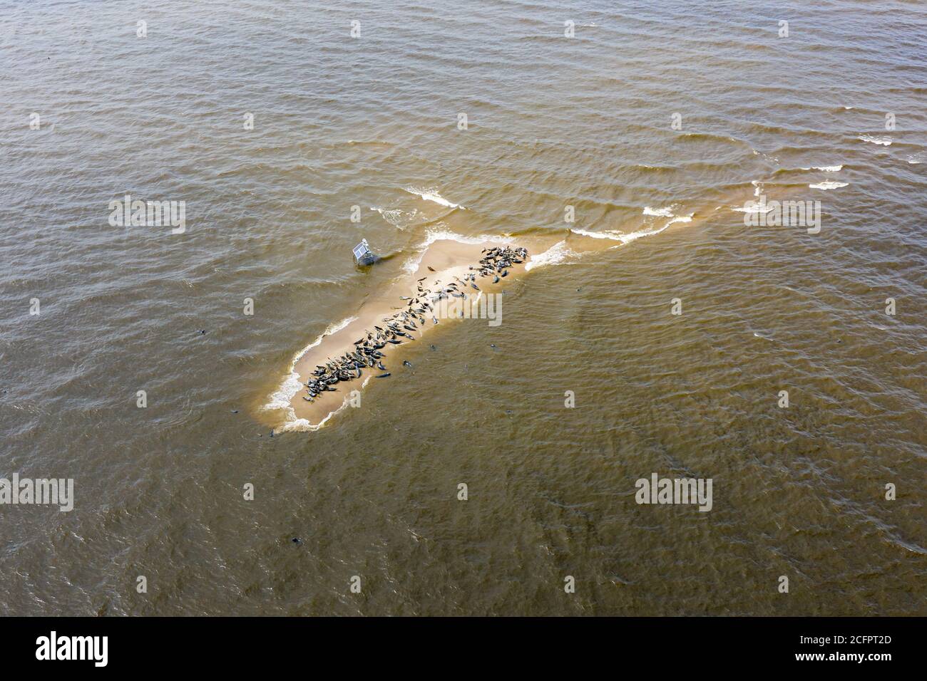 Aerial view of the Seal Island near Vistula mouth to the Baltic sea ...