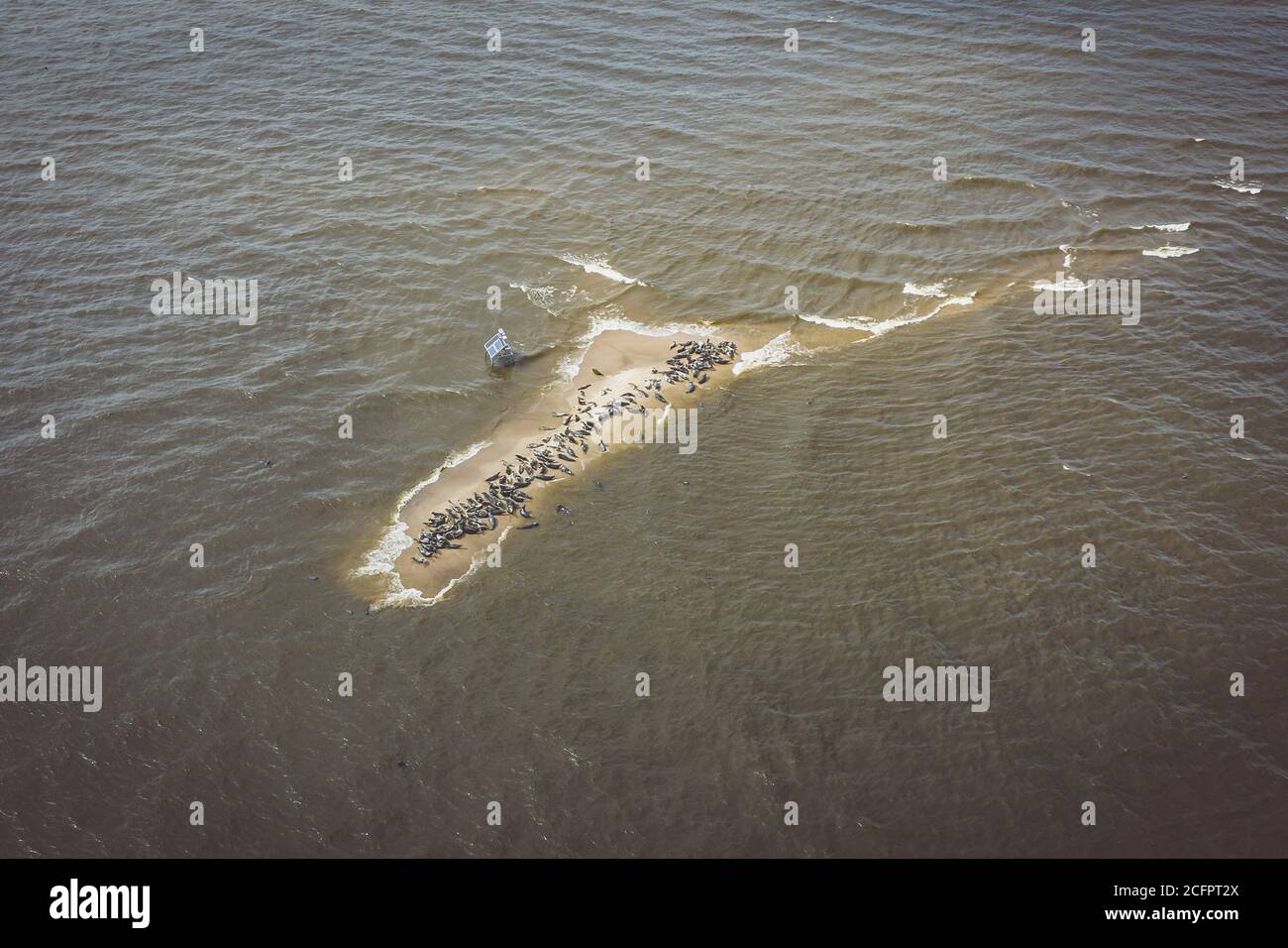 Aerial view of the Seal Island near Vistula mouth to the Baltic sea ...