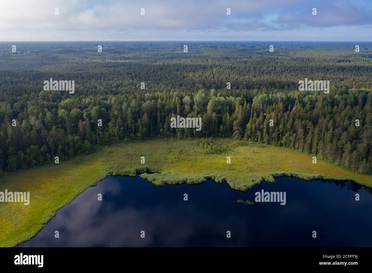 Aerial view of Kangaru lake (Kangaru ezers) and green forest Stock ...