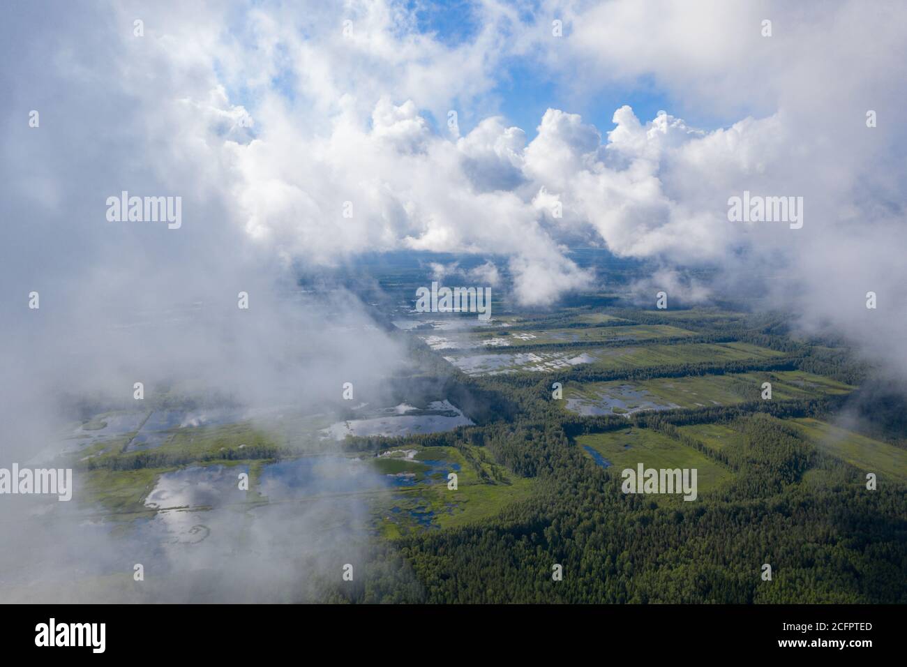 Aerial view of flooded Seda swamp (Sedas purvs) water lakes through low ...