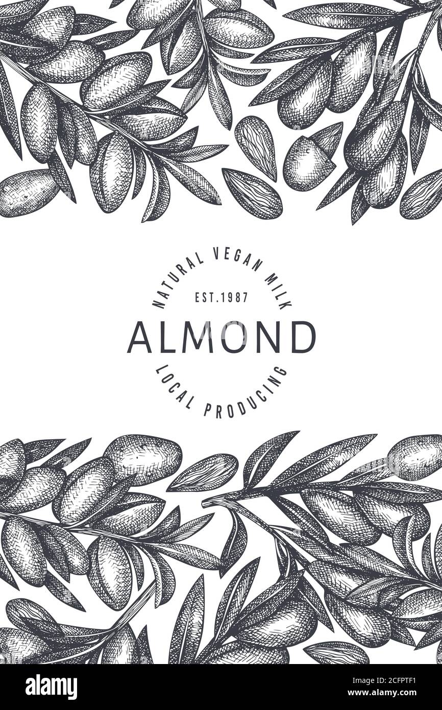 Hand drawn sketch almond design template. Organic food vector ...