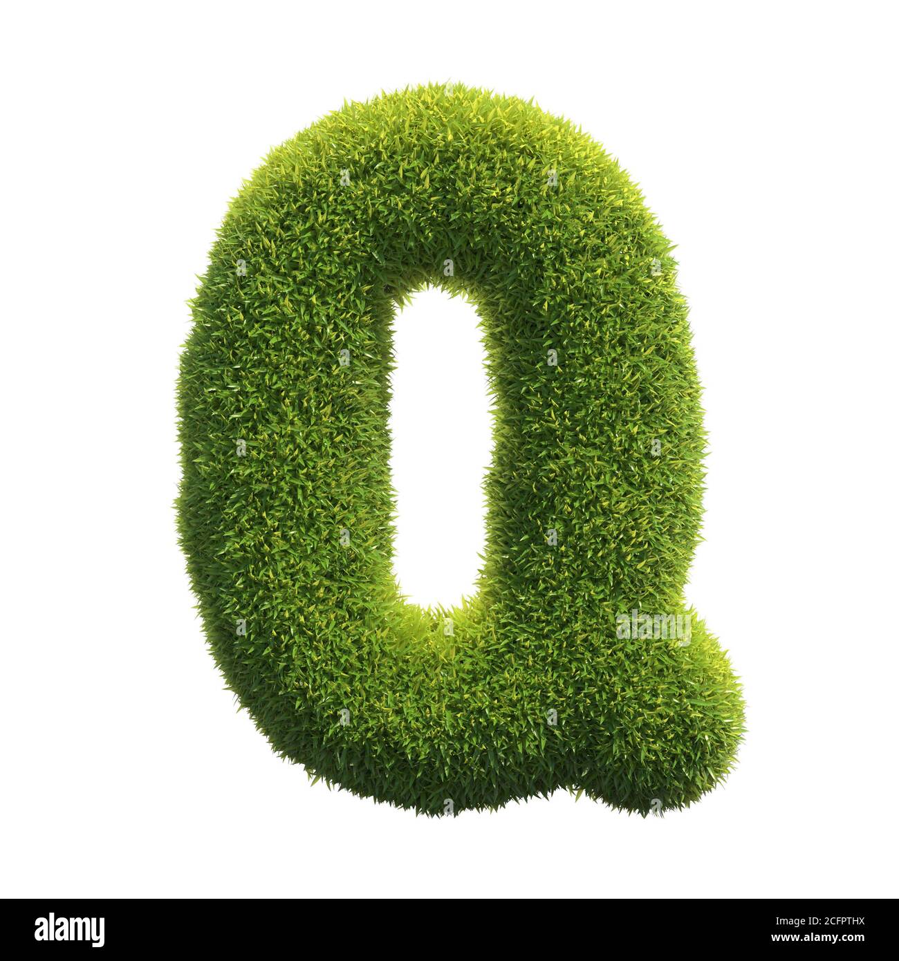 Letter q plant hi-res stock photography and images - Alamy