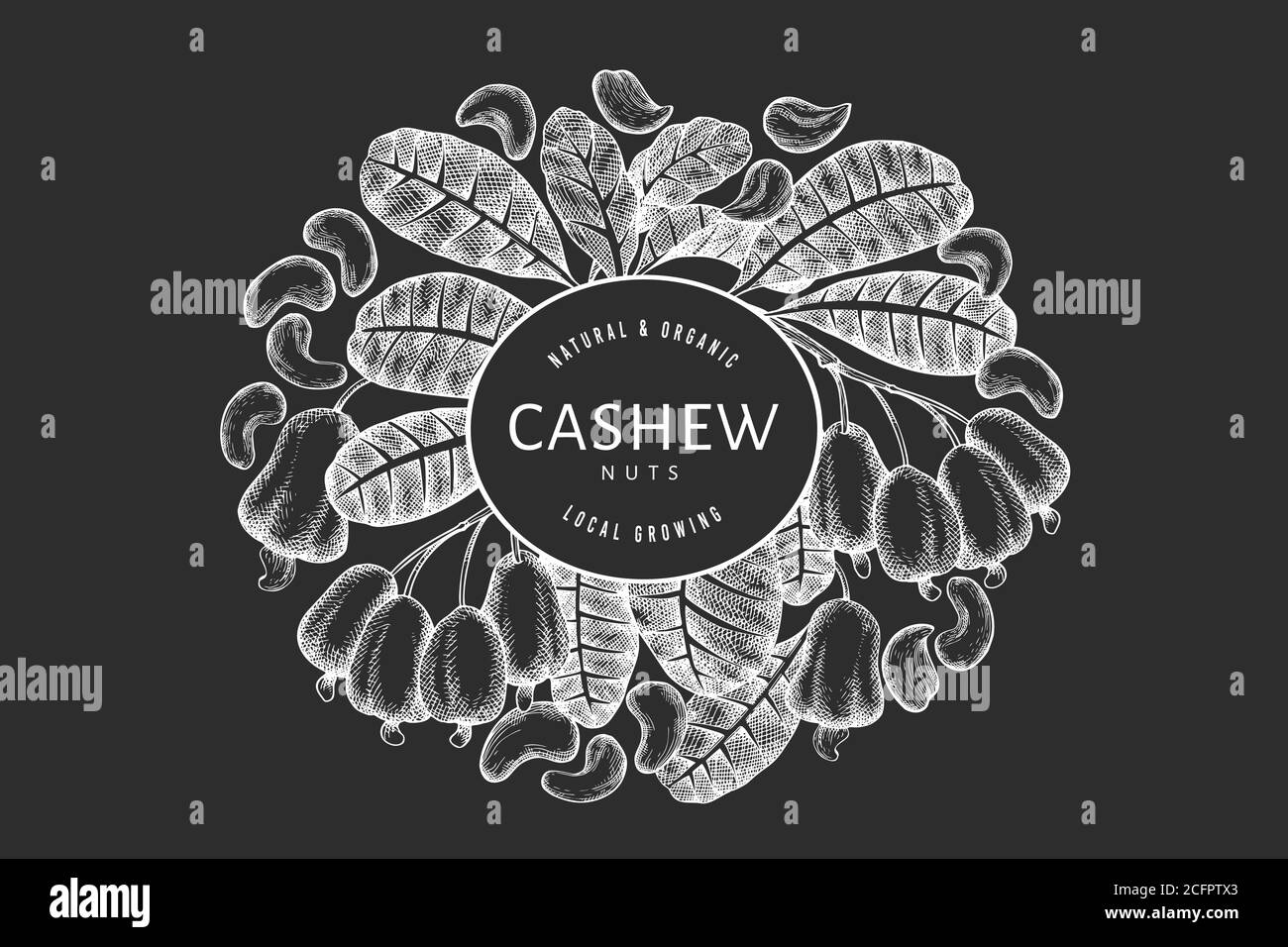 Hand drawn sketch cashew design template. Organic food vector ...