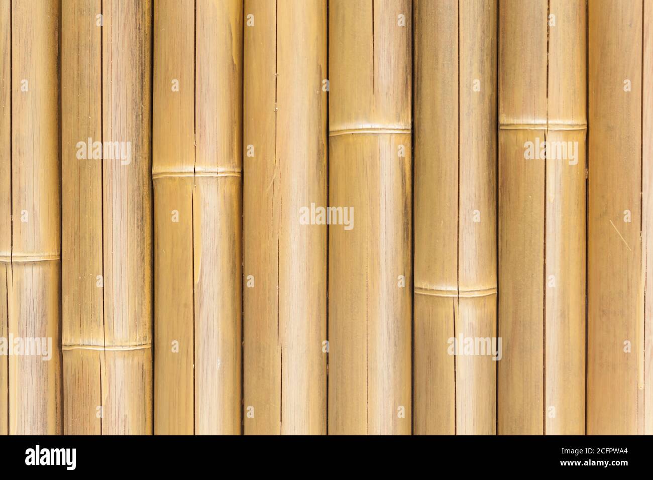 Bamboo wall, close up background photo texture, front view Stock Photo ...