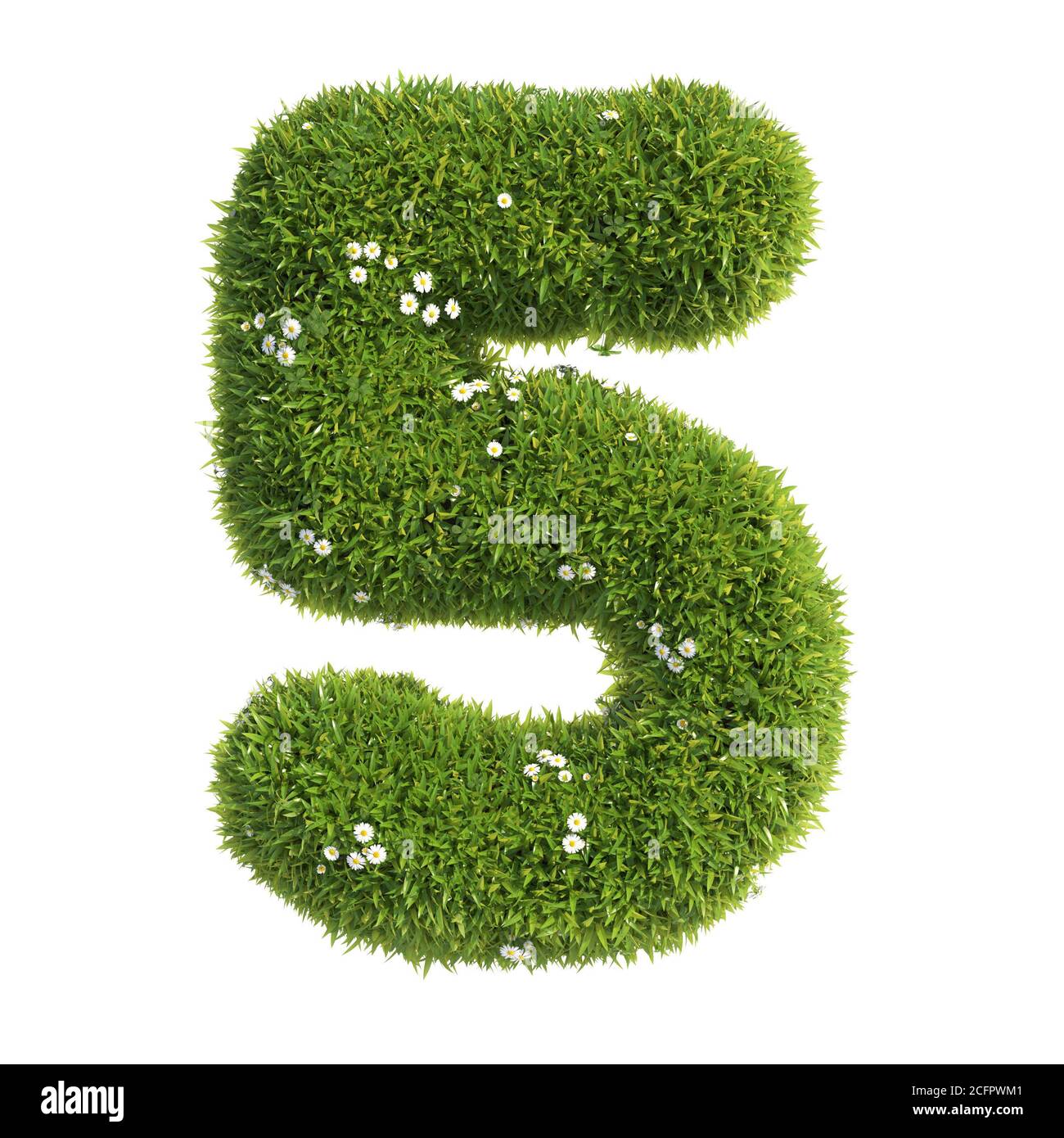 Five grass Cut Out Stock Images & Pictures - Alamy