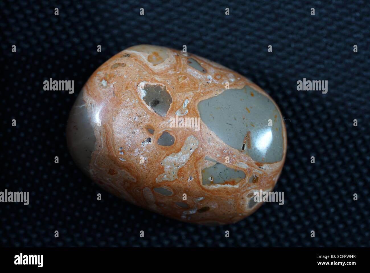 Leopard Jasper High Resolution Stock Photography and Images - Alamy