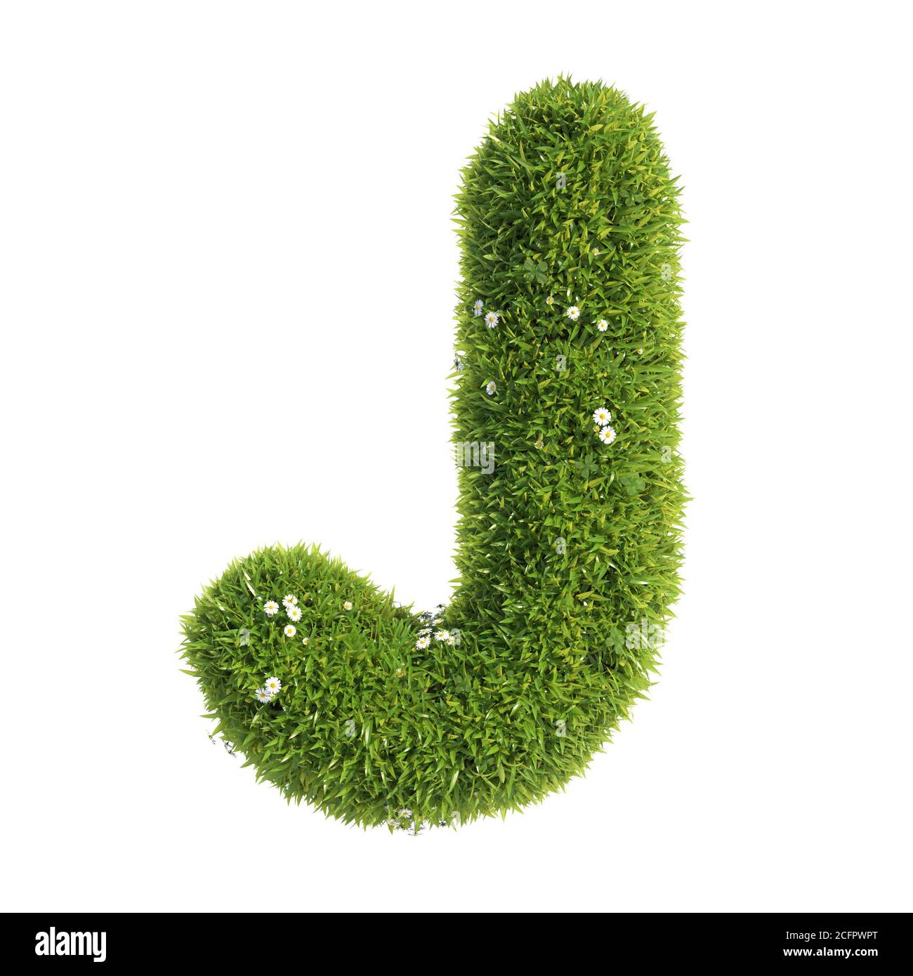 Letter J In Nature