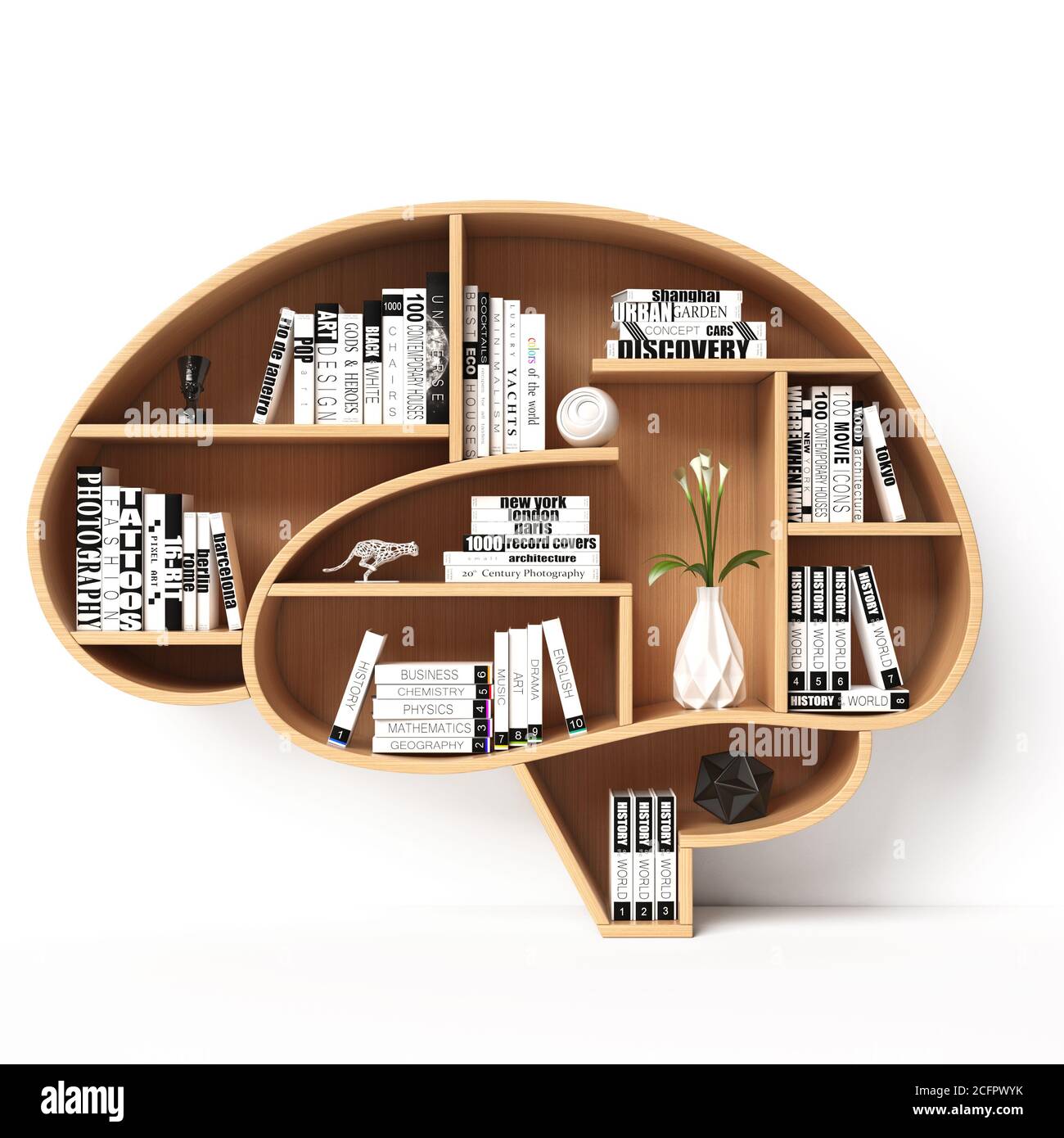 Bookshelves in the shape of human brain, intelligence book shelf ...