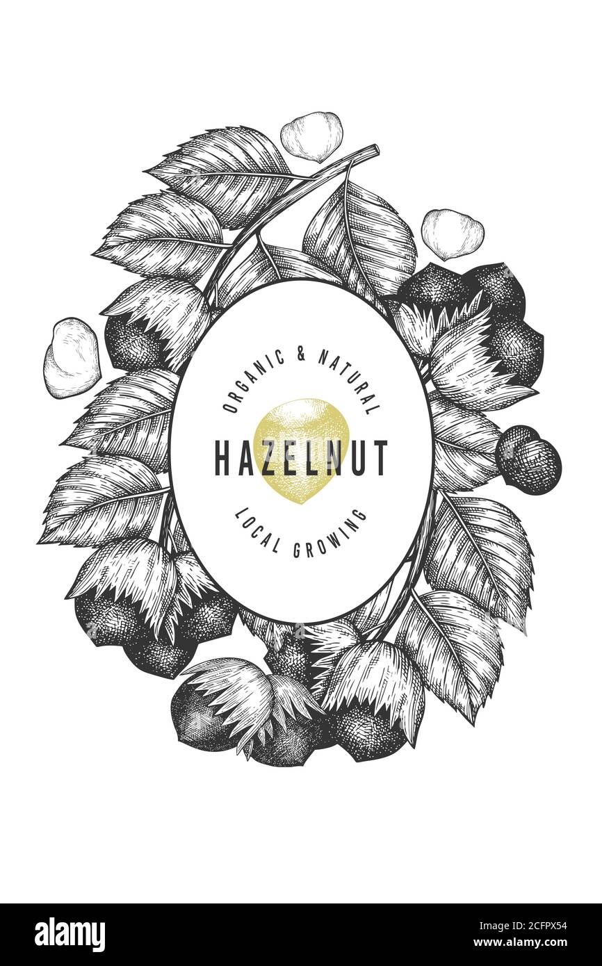 Hand drawn sketch hazelnut design template. Organic food vector ...
