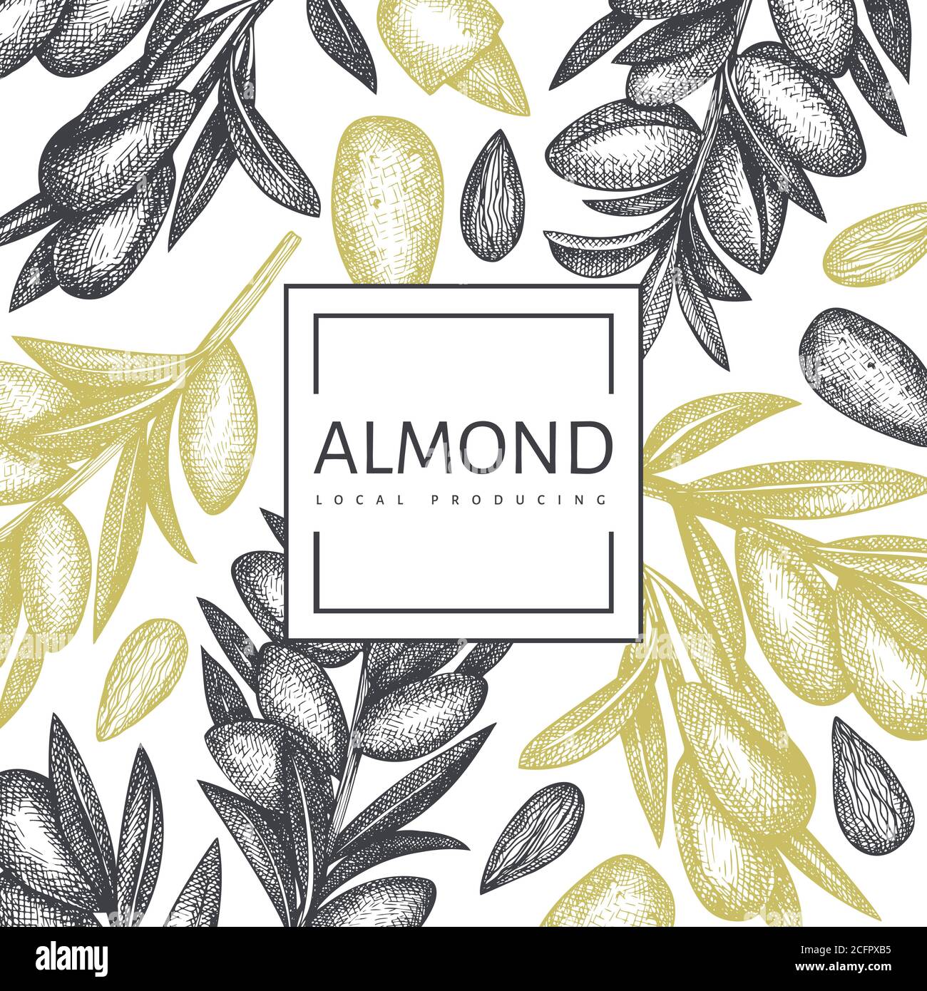 Hand drawn sketch almond design template. Organic food vector ...
