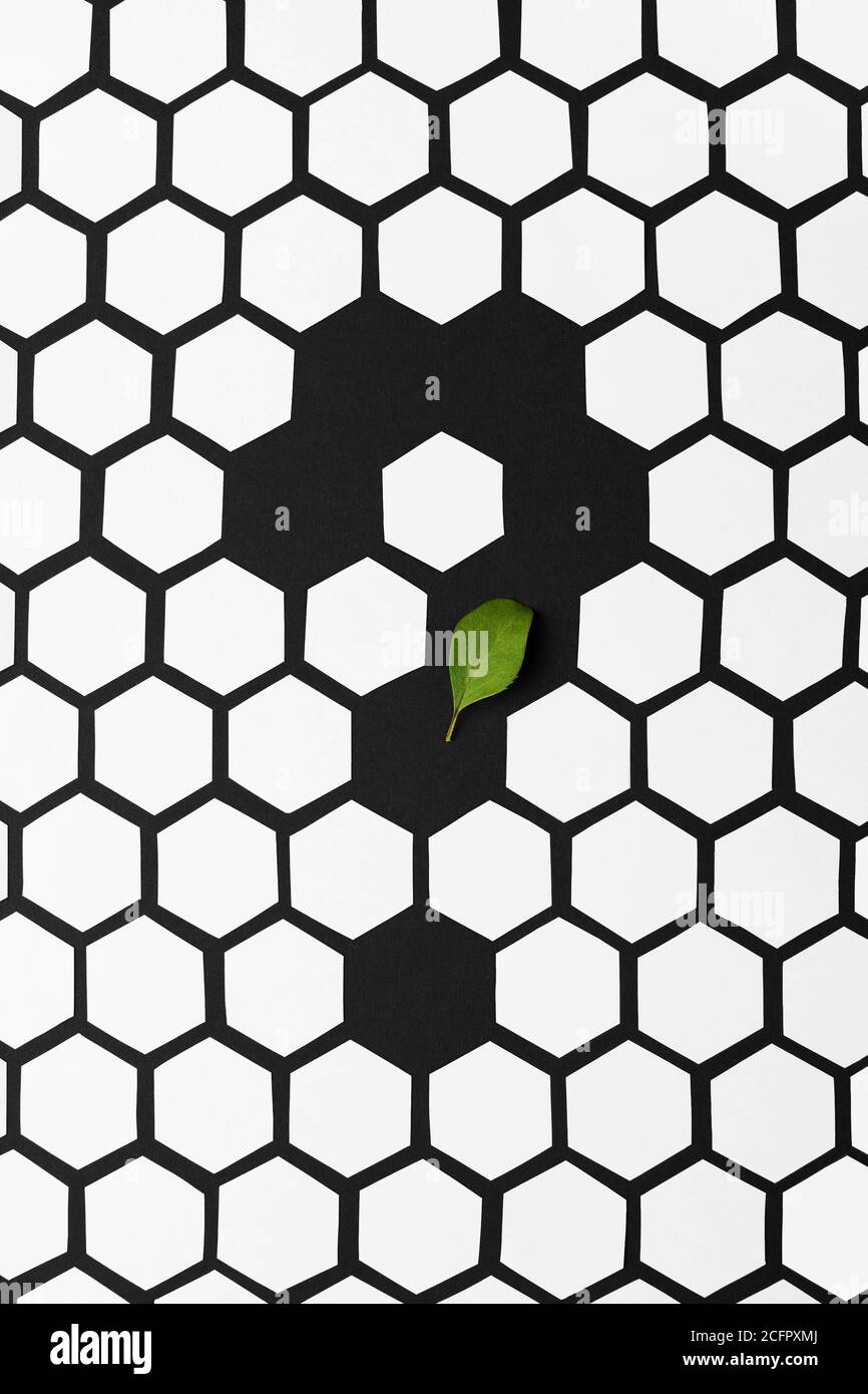 Question mark in honeycomb cells with green leaf Stock Photo - Alamy