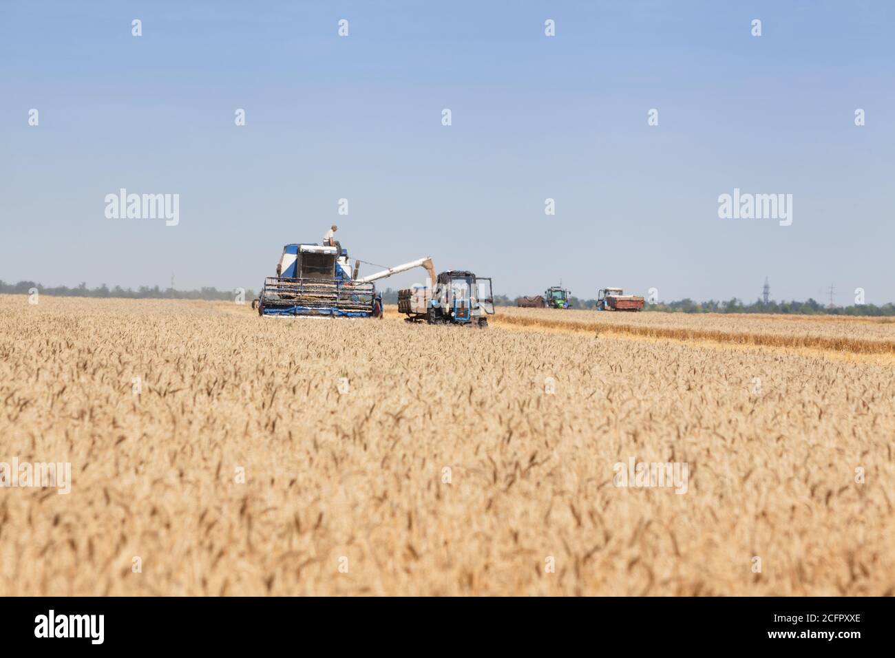 Grain harvest unloading sunset hi-res stock photography and images - Alamy