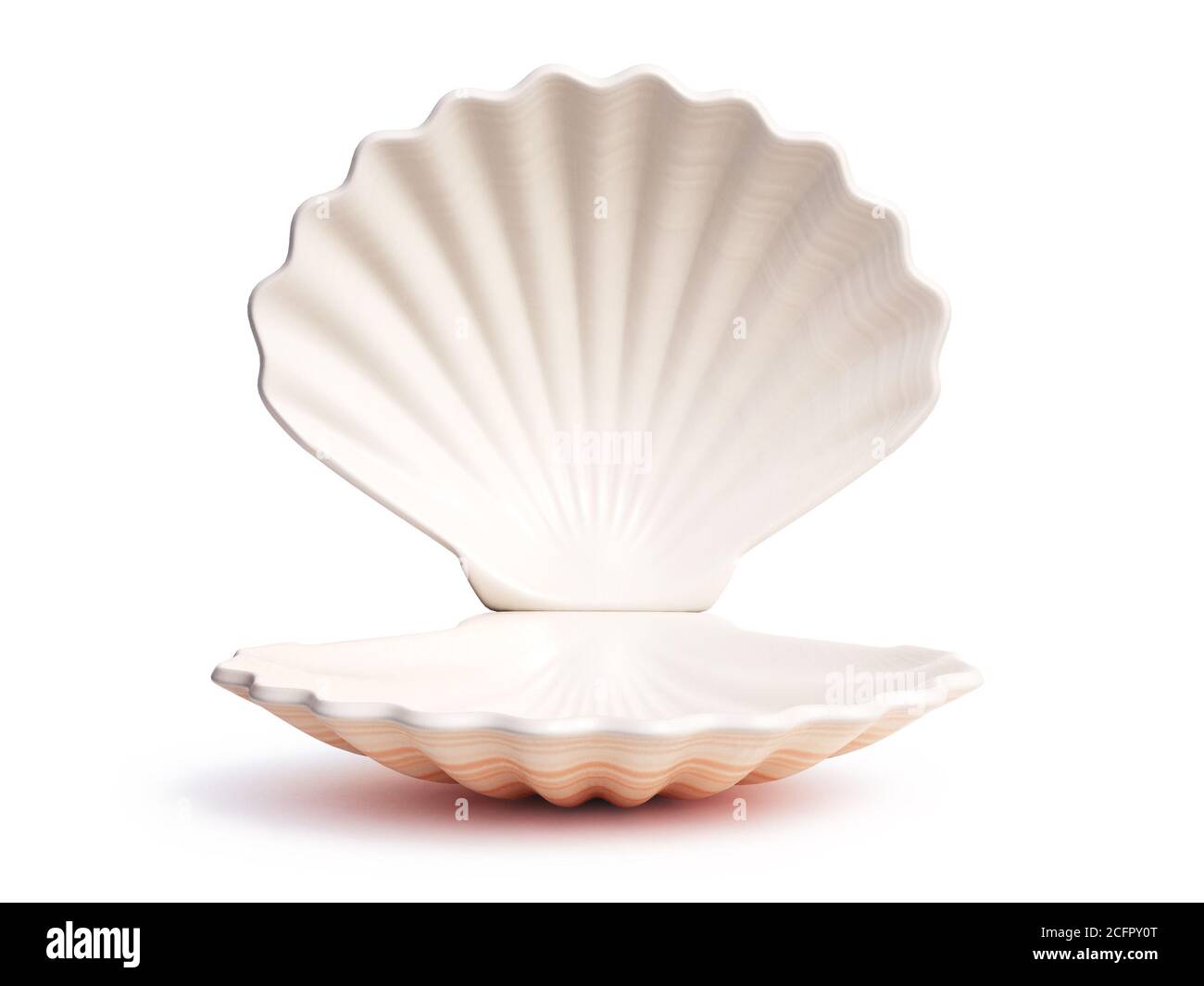 Open seashell hi-res stock photography and images - Alamy