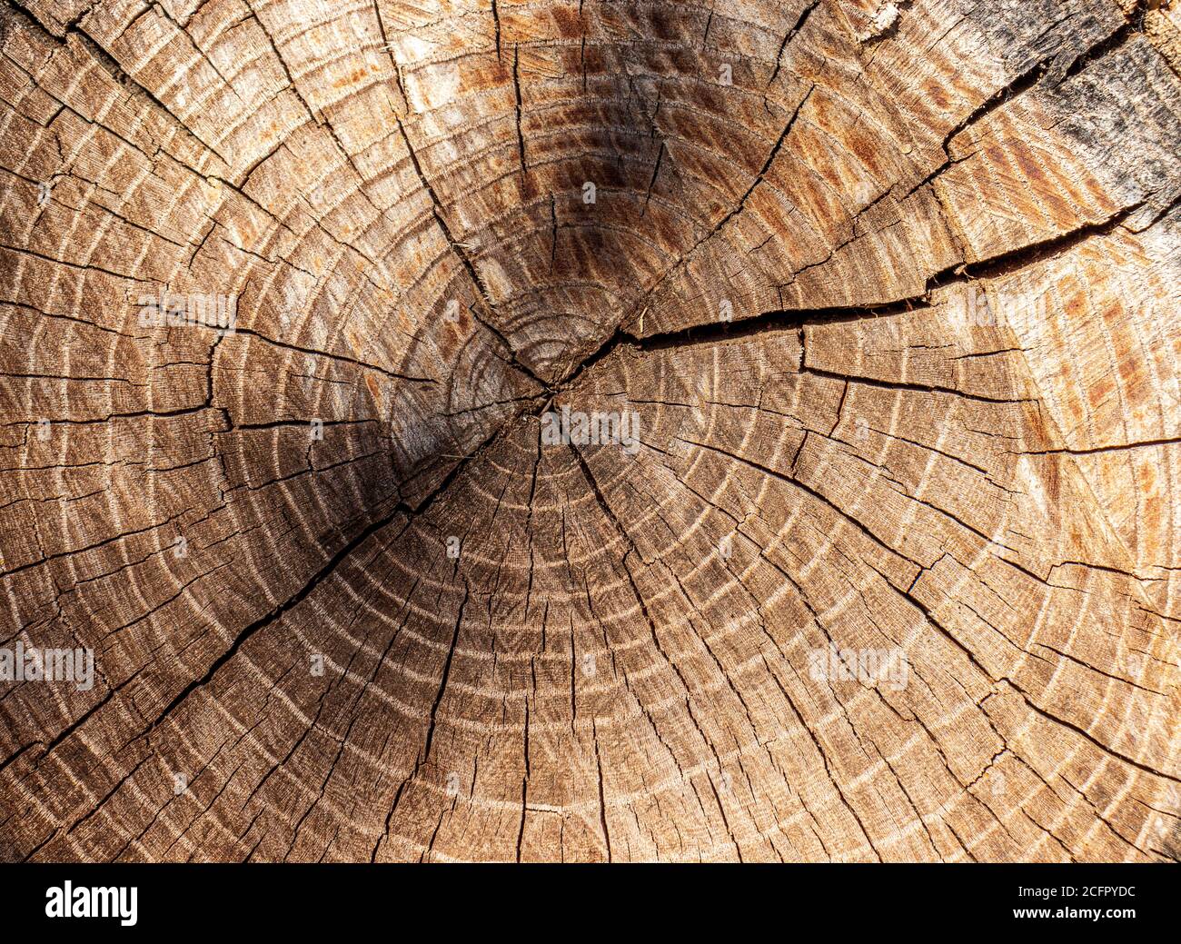 Close up wood texture details crack hi-res stock photography and images ...