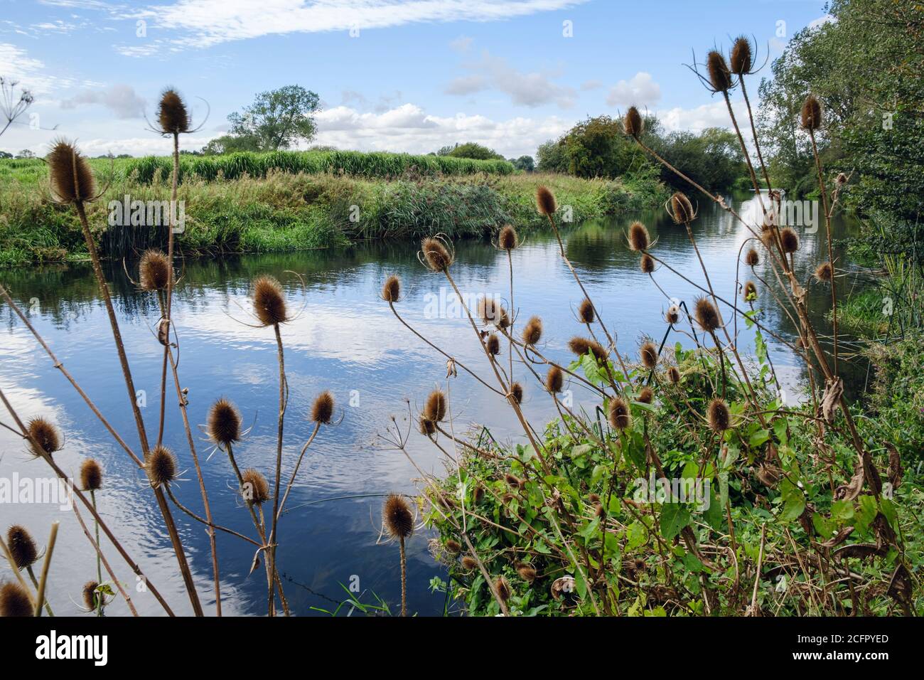 Nene valley nassington hi-res stock photography and images - Alamy