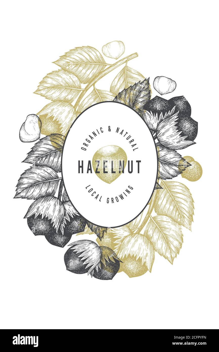 Hand drawn sketch hazelnut design template. Organic food vector ...