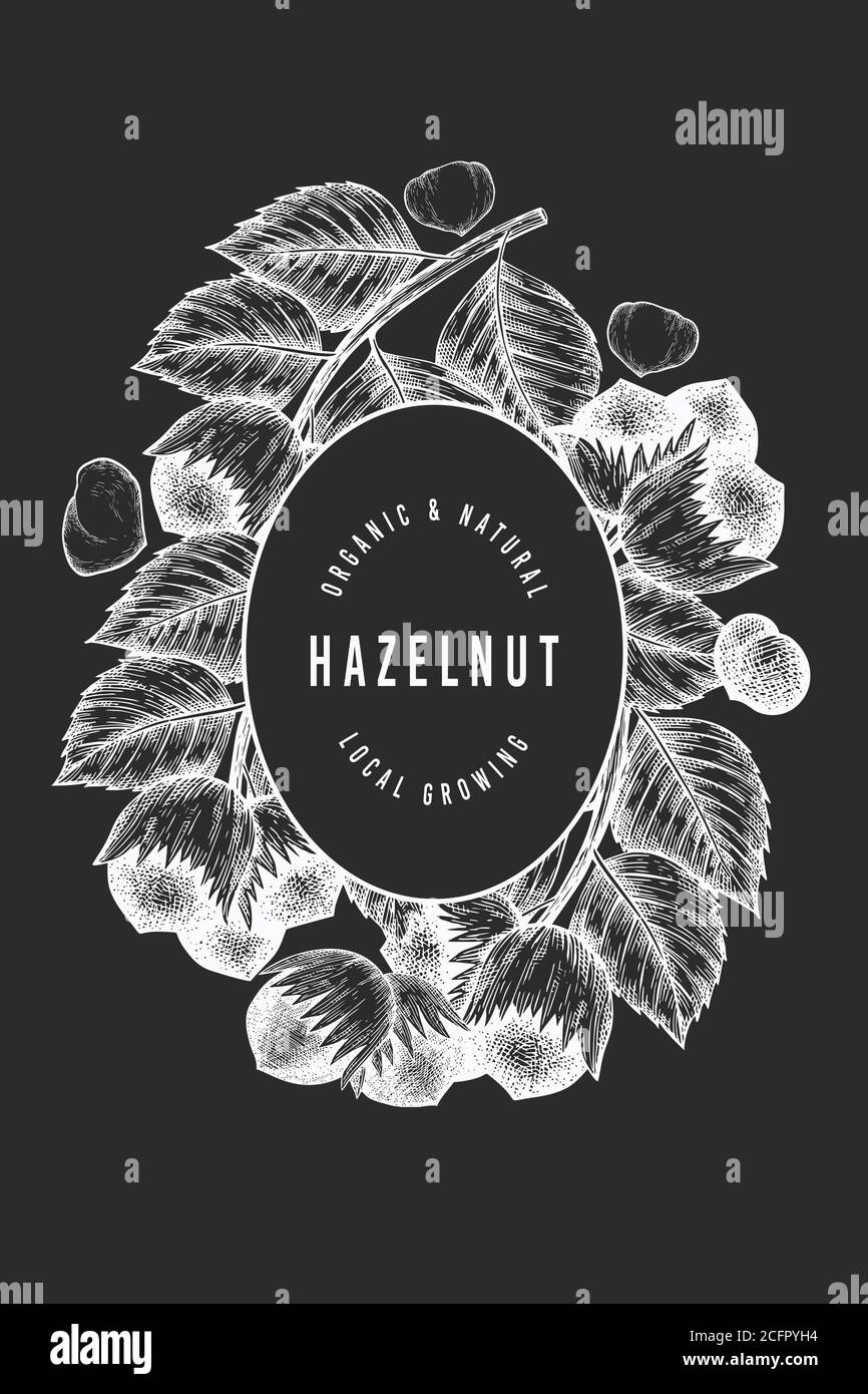 Hand drawn sketch hazelnut design template. Organic food vector ...