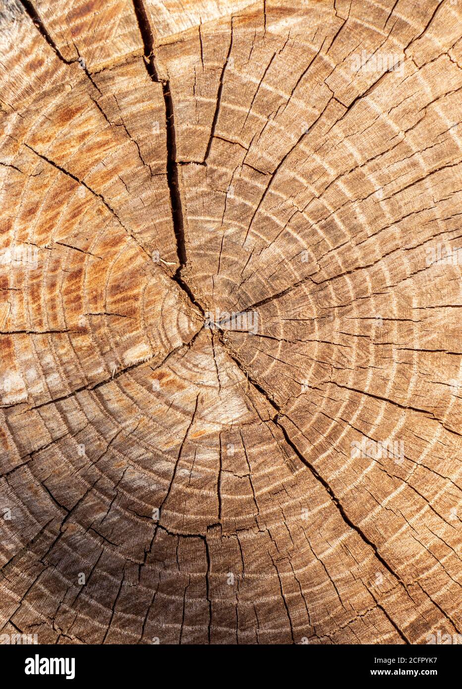 Close Ups of Wood and Wood Grain Stock Photo - Alamy