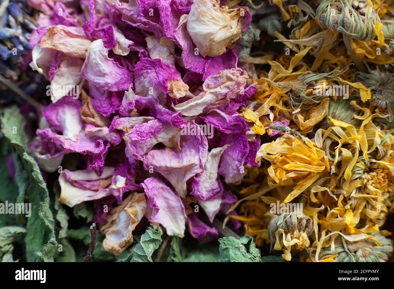 Mix dry flowers hi-res stock photography and images - Alamy