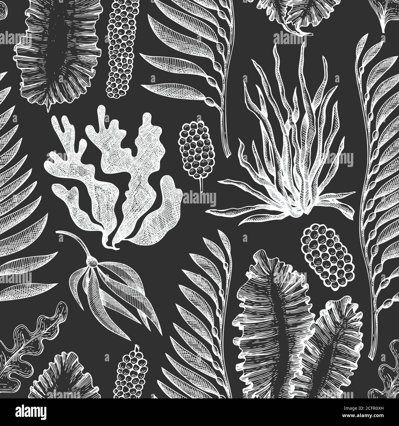Seaweed seamless pattern. Hand drawn vector seaweeds illustration on ...