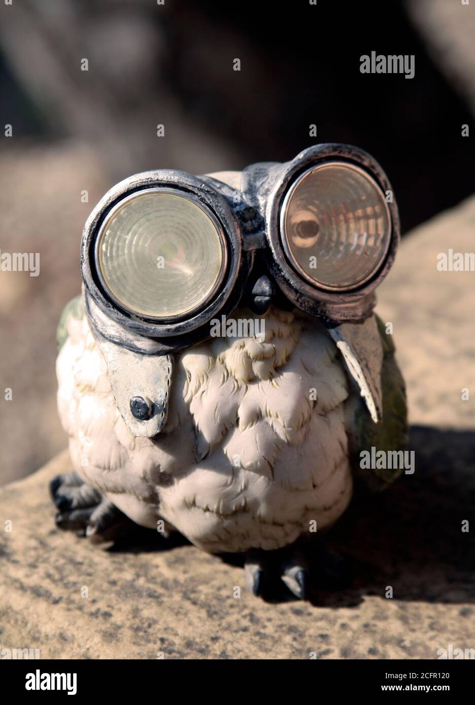 Small owl statue close up Stock Photo - Alamy