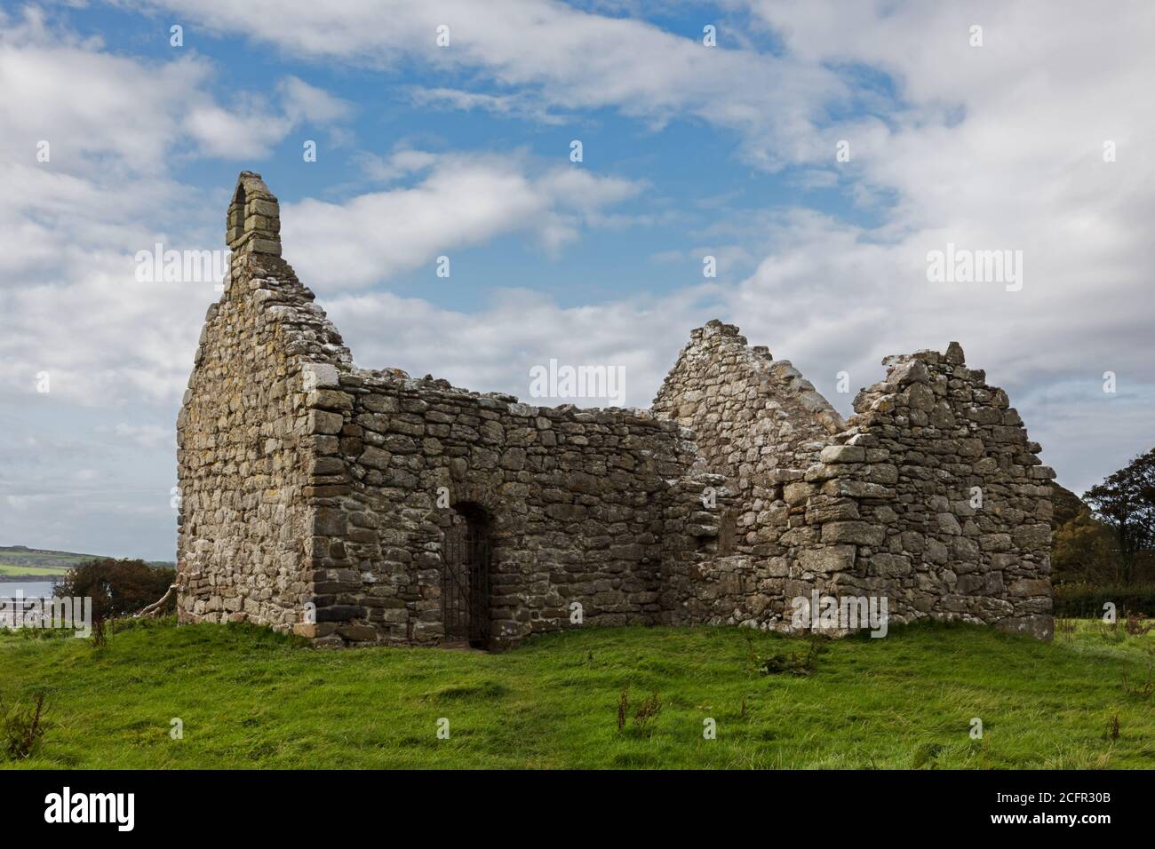 Great rhos hi-res stock photography and images - Alamy