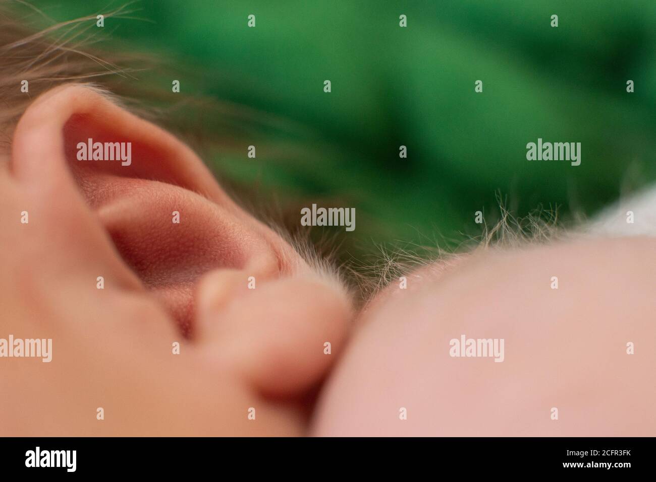 body hair of a newborn baby. Fluff Stock Photo - Alamy