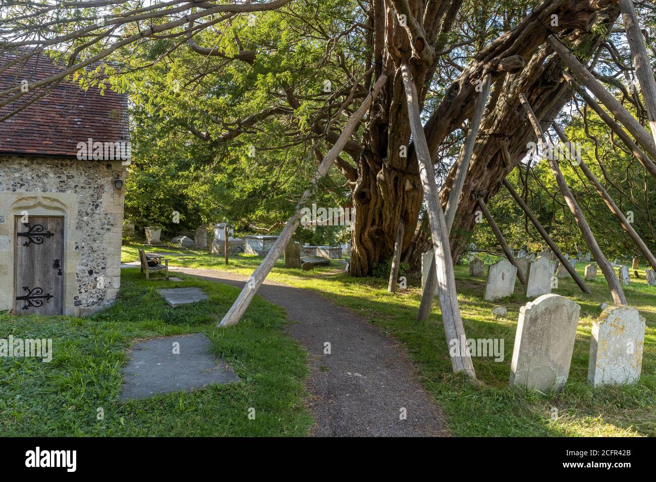 1600 years old hi-res stock photography and images - Alamy