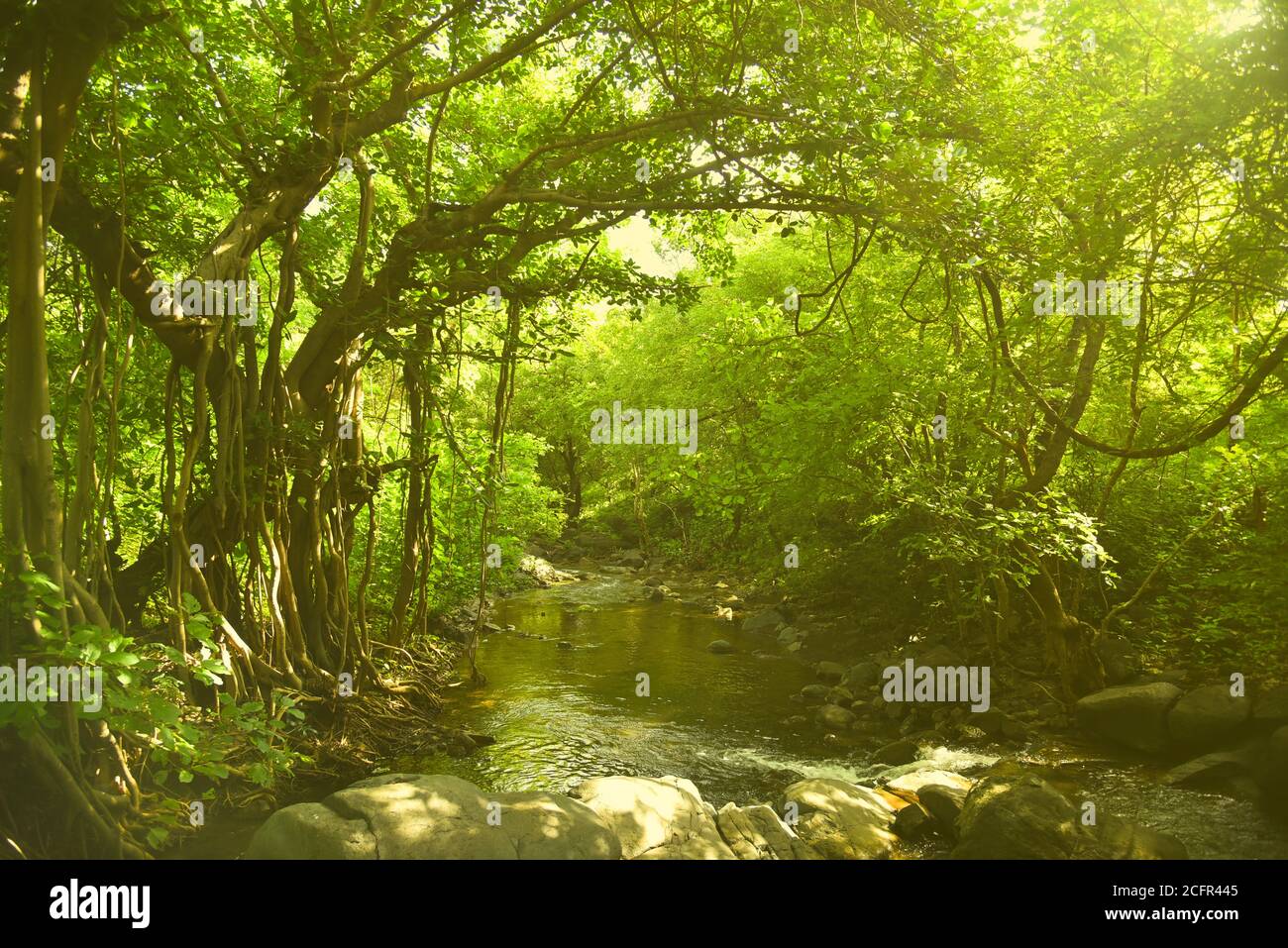 Beautiful scenery wallpapers hi-res stock photography and images - Alamy