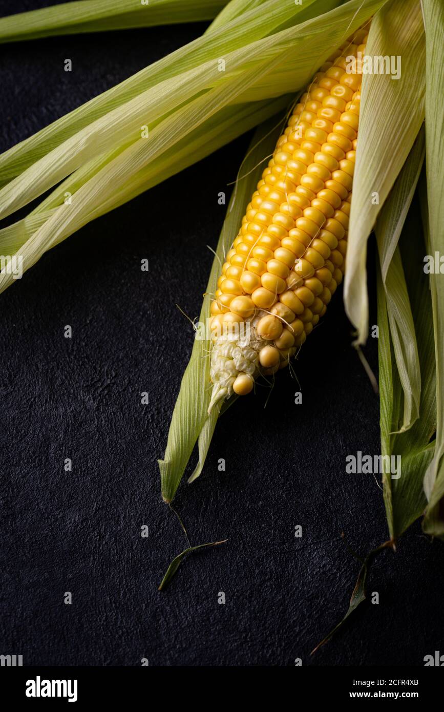 Raw ripe corn. Dark style Stock Photo - Alamy