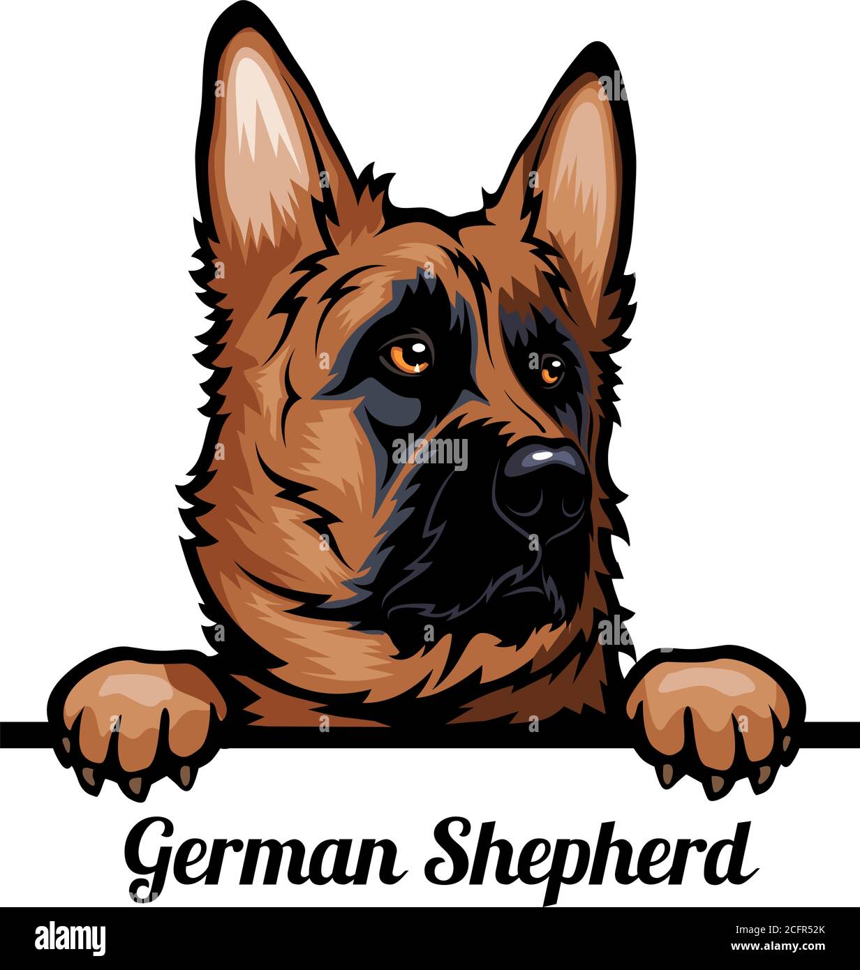 German Shepherd Drawing In Color