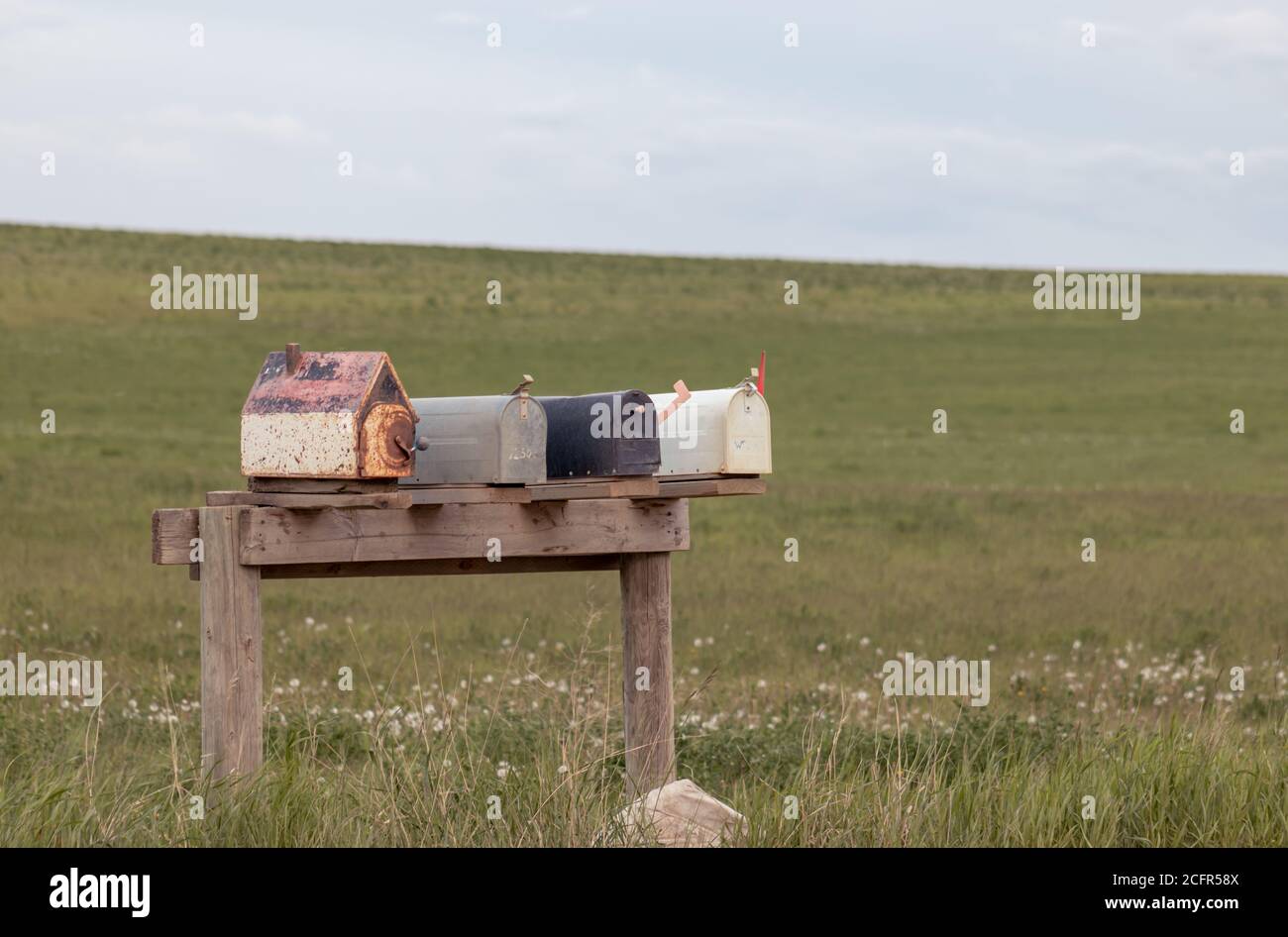 Old Mailboxes in Rural Field Stock Photo - Alamy