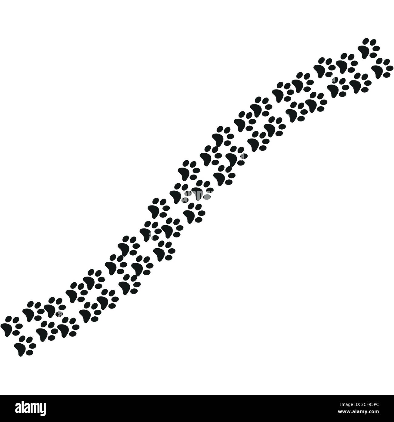 Footpath trail of animal. Dog or cat paws print isolated on white ...